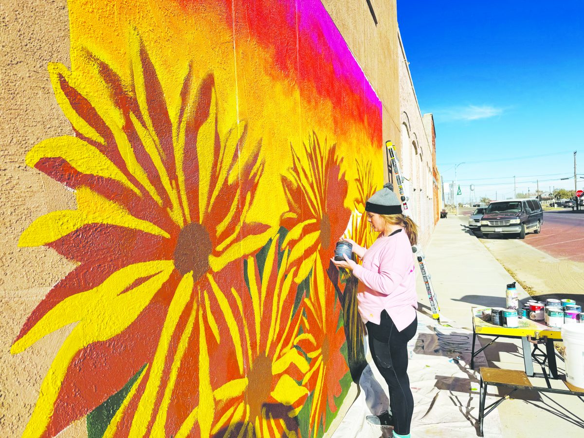 Artist paints mural on SEDCO building – The Slatonite